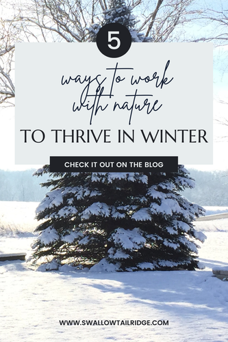 How to Work with Nature to Thrive this Winter – Swallowtail Ridge