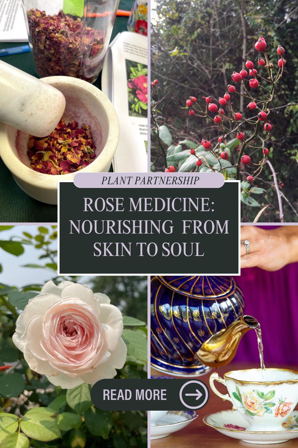 Rose Medicine: Nourishing from Skin to Soul – Swallowtail Ridge